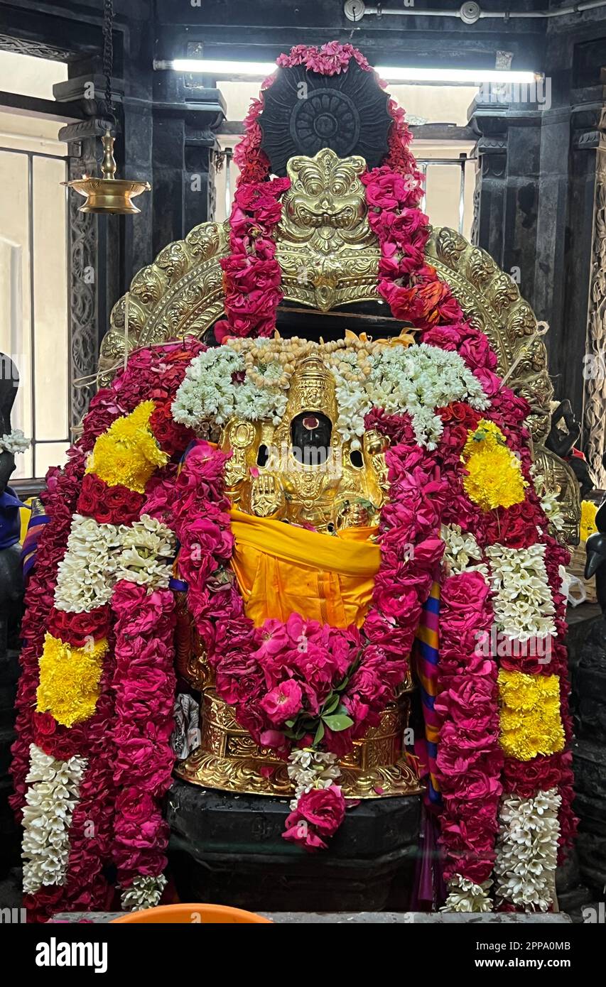 Jupiter (Guru/Brihaspati) is a planet which denotes or indicates ...