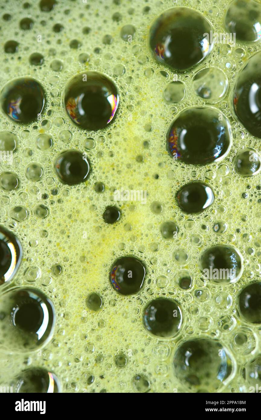 Closeup of Frothy Surface of Whished Hot Japanese Matcha Green Tea ...