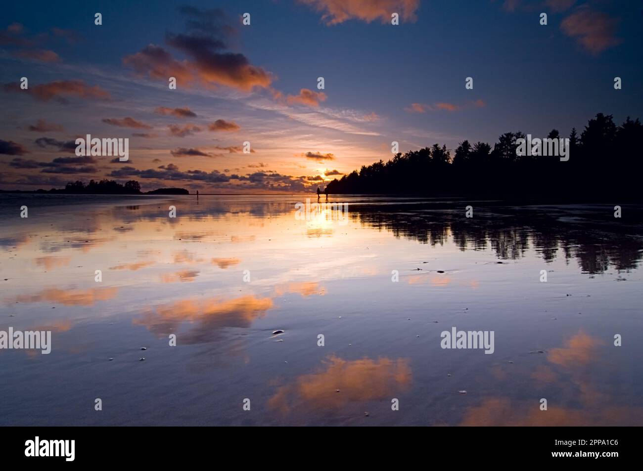 A beautiful sunset over Chesterman Beach, Tofino, Vancouver Island, BC ...