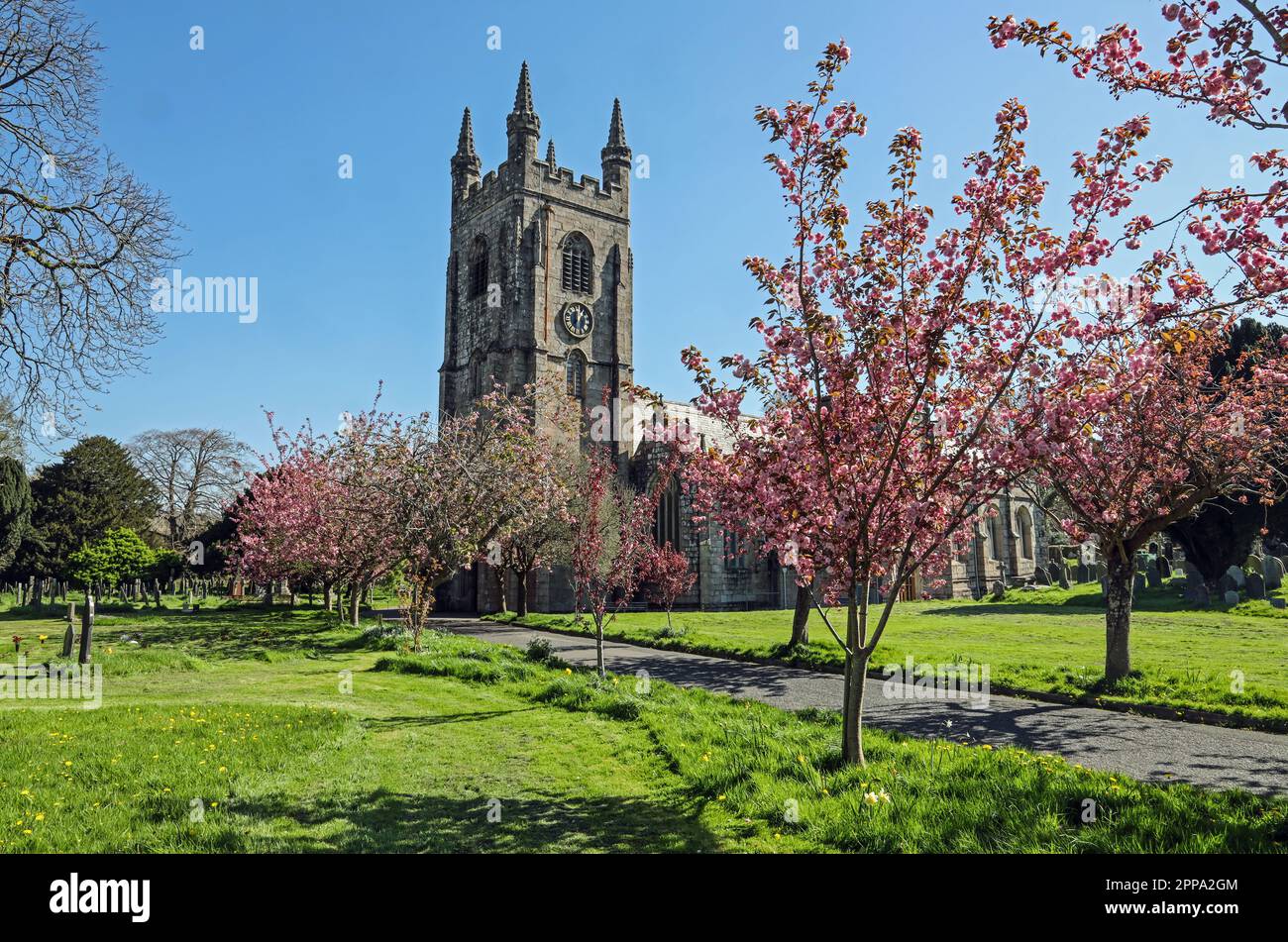 The south face of the Parish Church of St Mary in Plympton. with ...