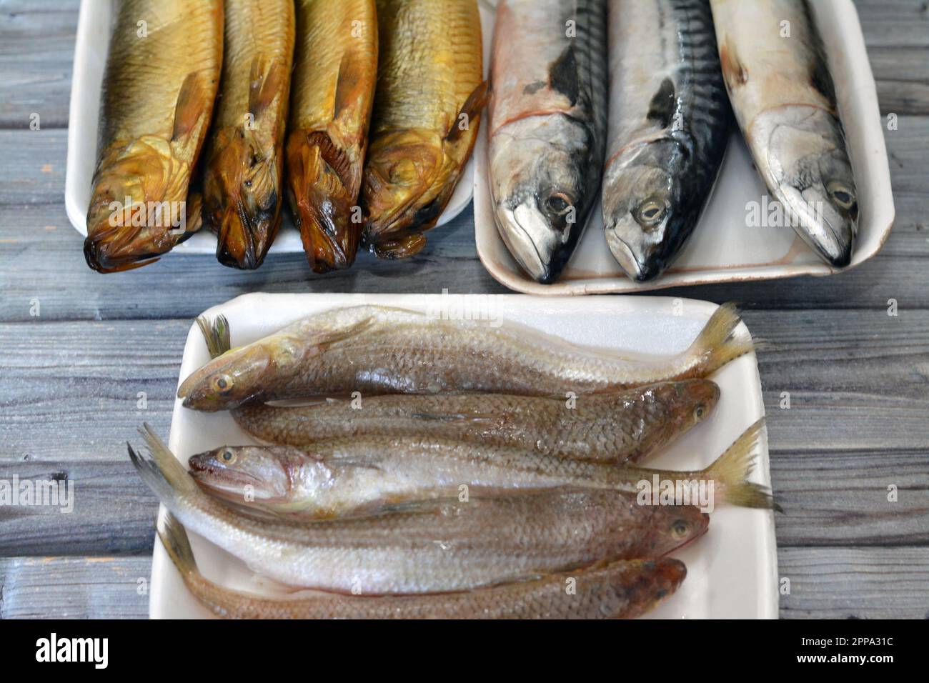 Various types of Raw Fishes of Mackerel fish, Saurida undosquamis, the ...