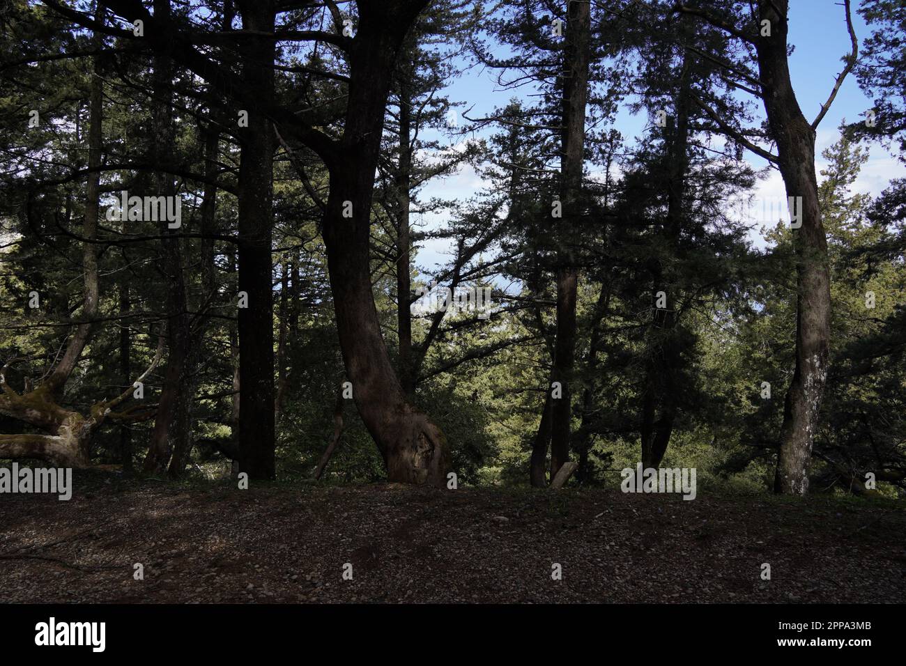 Mussolini`s House at Rhodes ,Greece, summer residence of General Cesare ...