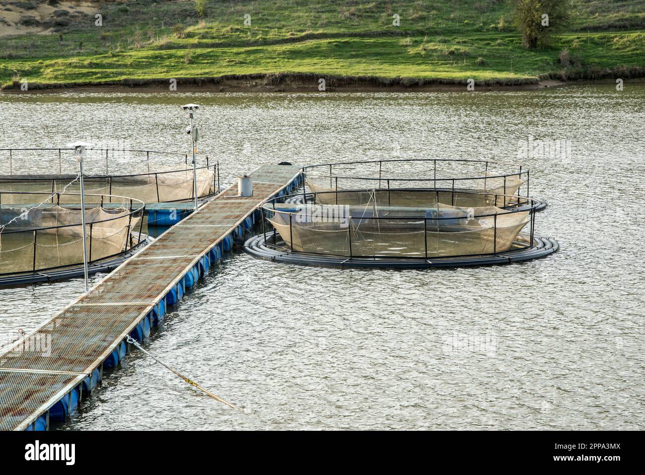 Fish enclosure hi-res stock photography and images - Alamy