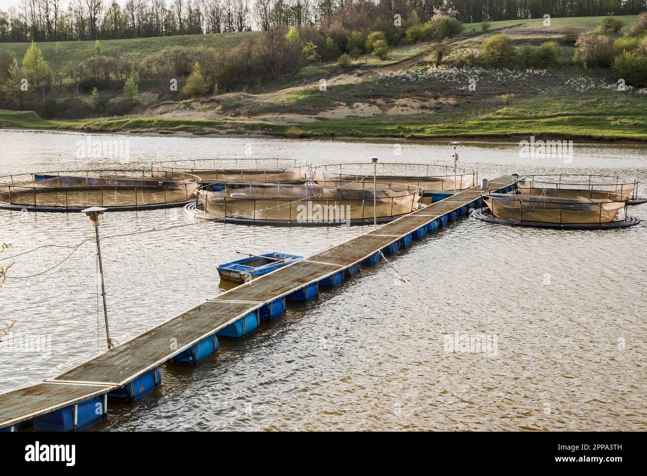 Fish farm with fish enclosures in a lake Stock Photo - Alamy