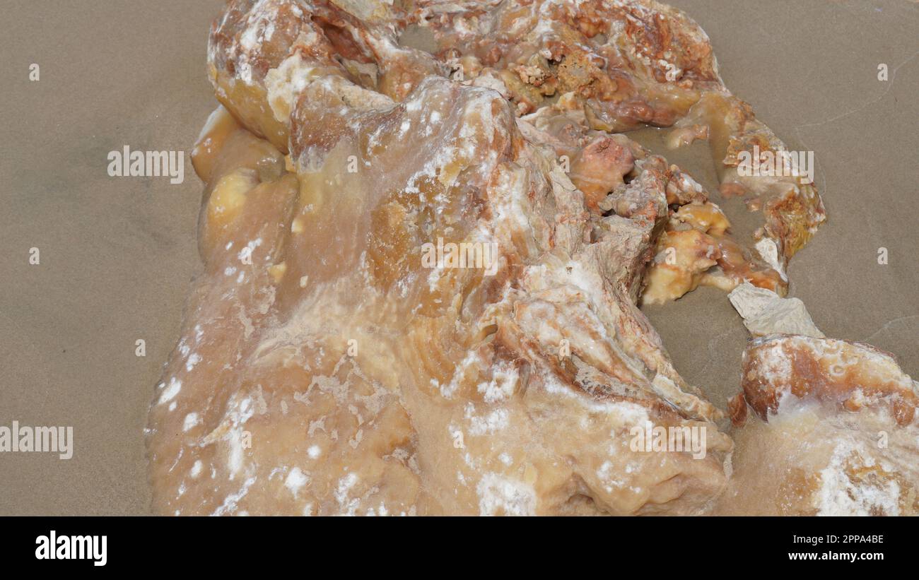 Huge piece of quartz rock in white sand on the Mediterranean sea beach ...