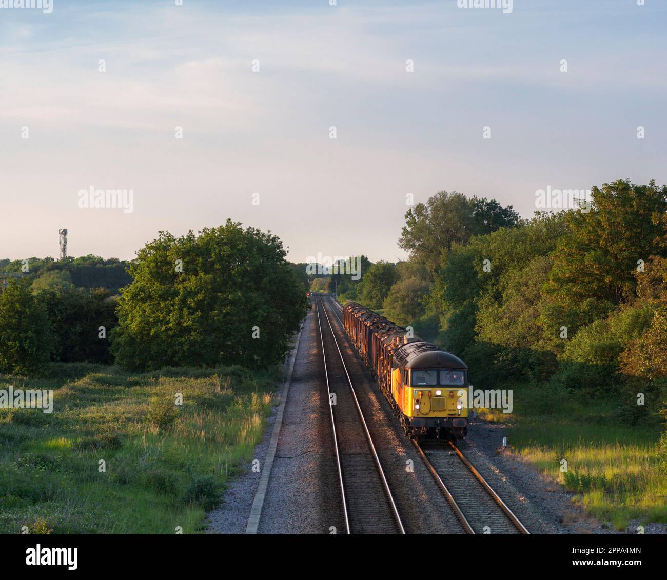 A Colas Railfreight class 56 locomotive hauling a train carrying timber ...