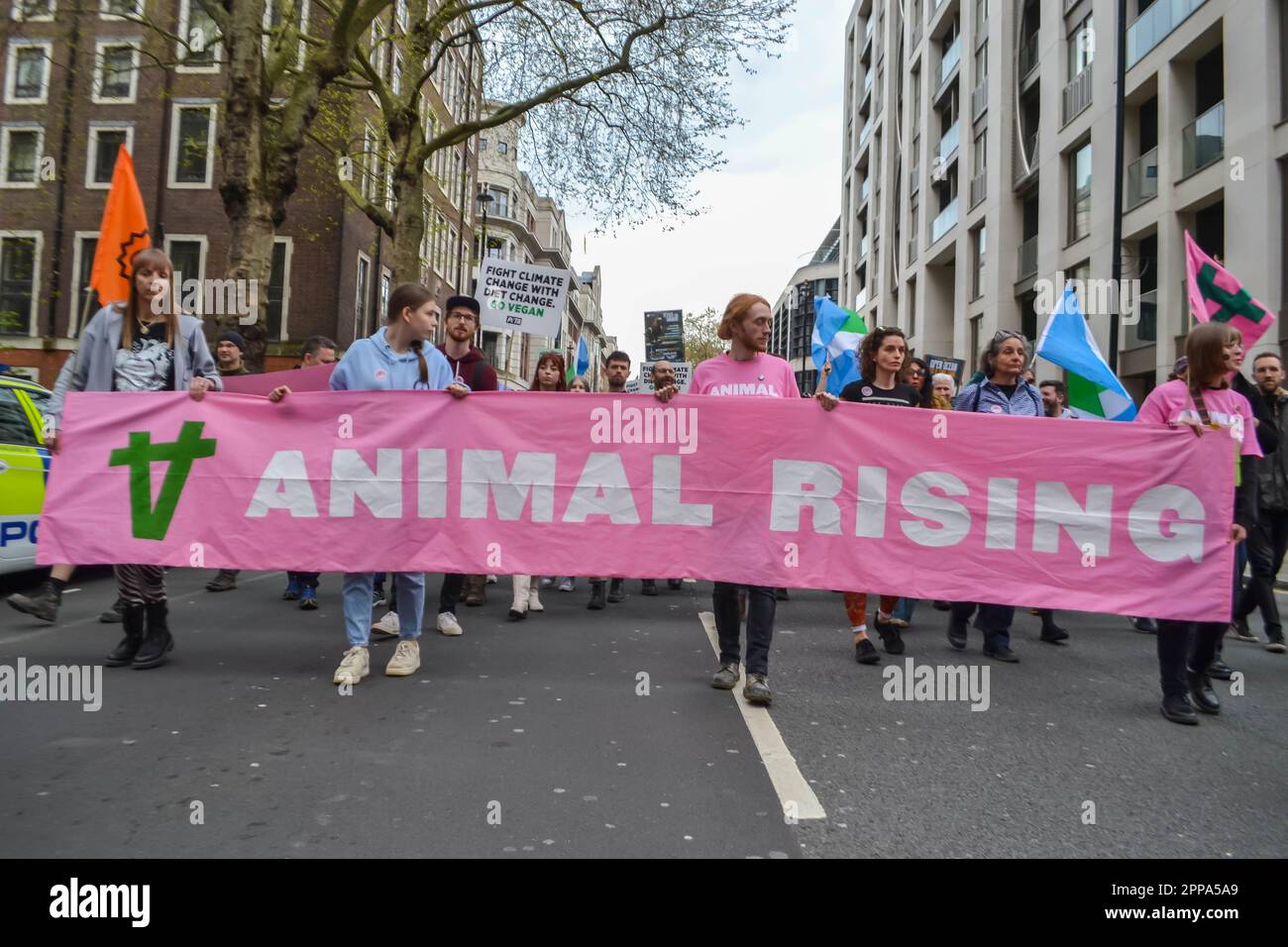 WESTMINSTER, LONDON - 22 April 2023: Animal Rising taking part in an XR ...