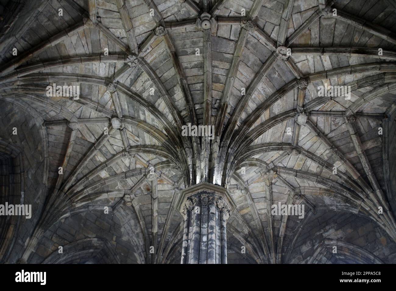 Cross vault in the ruins of Elgin Cathedral, Scotland, UK Stock Photo ...