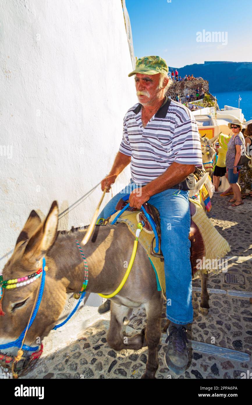 Spectacular view from Santorini-donkeys -traditional working animal ...