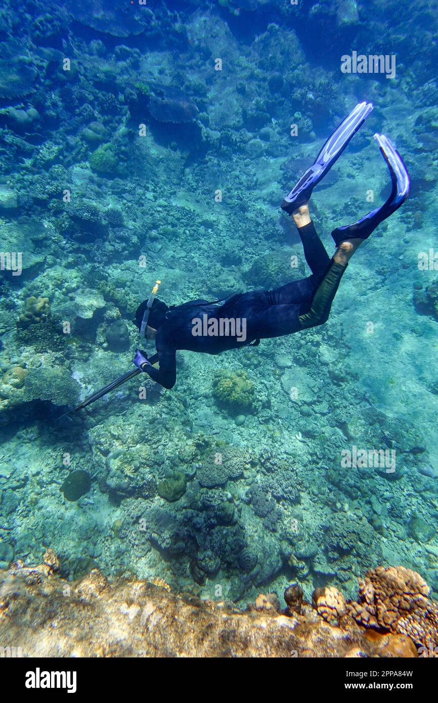 Indonesia Anambas Islands - Men spearfishing in coral reef Stock Photo ...