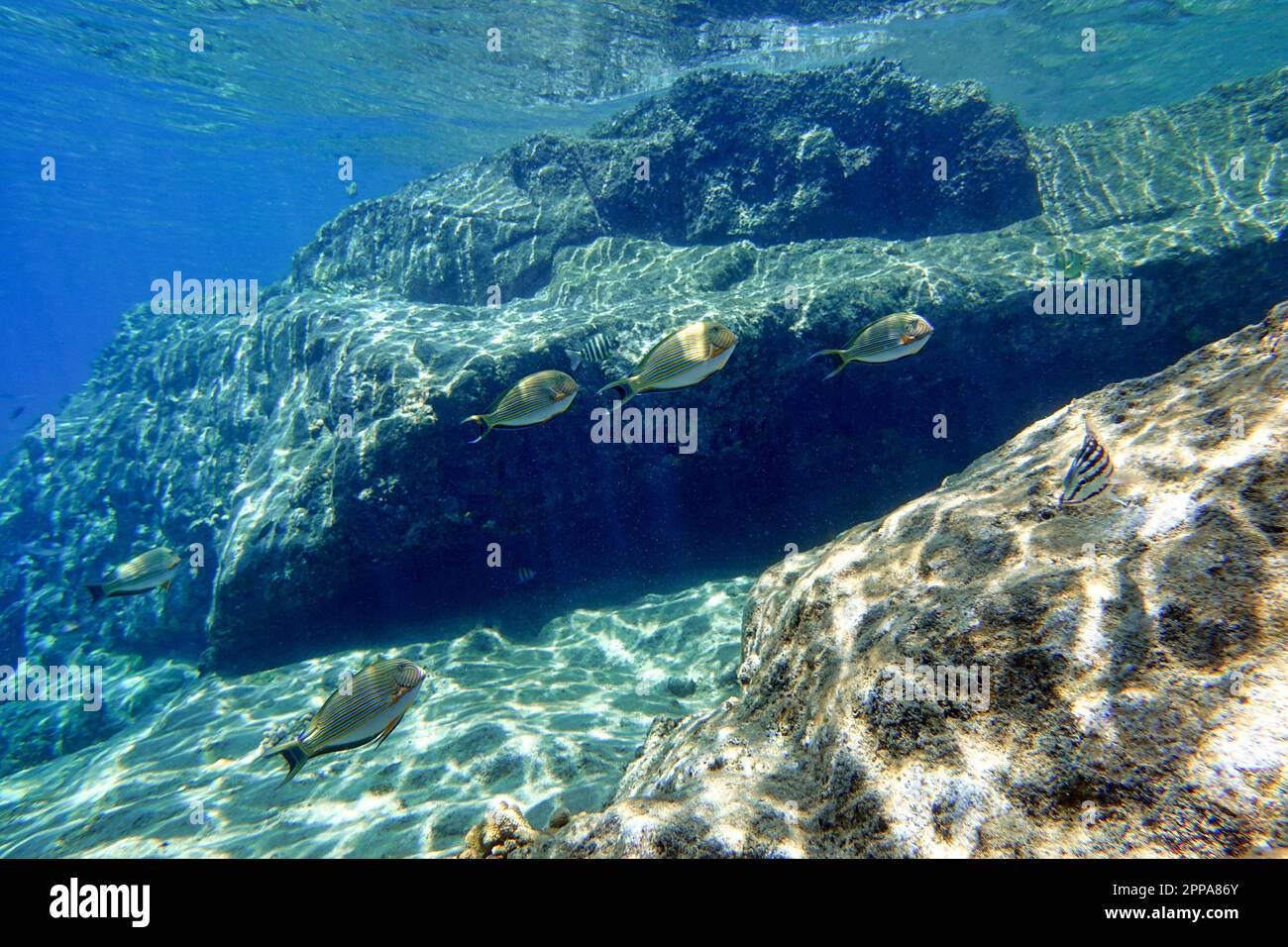 Indonesia Anambas Islands - Rocks with tropical fish Stock Photo - Alamy