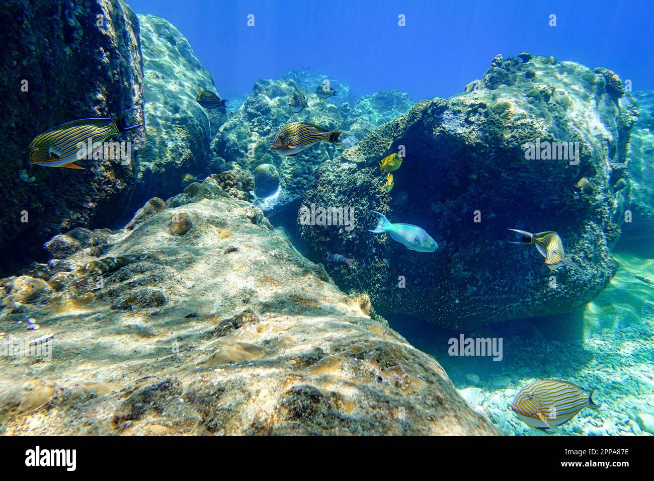 Anambas islands hi-res stock photography and images - Alamy