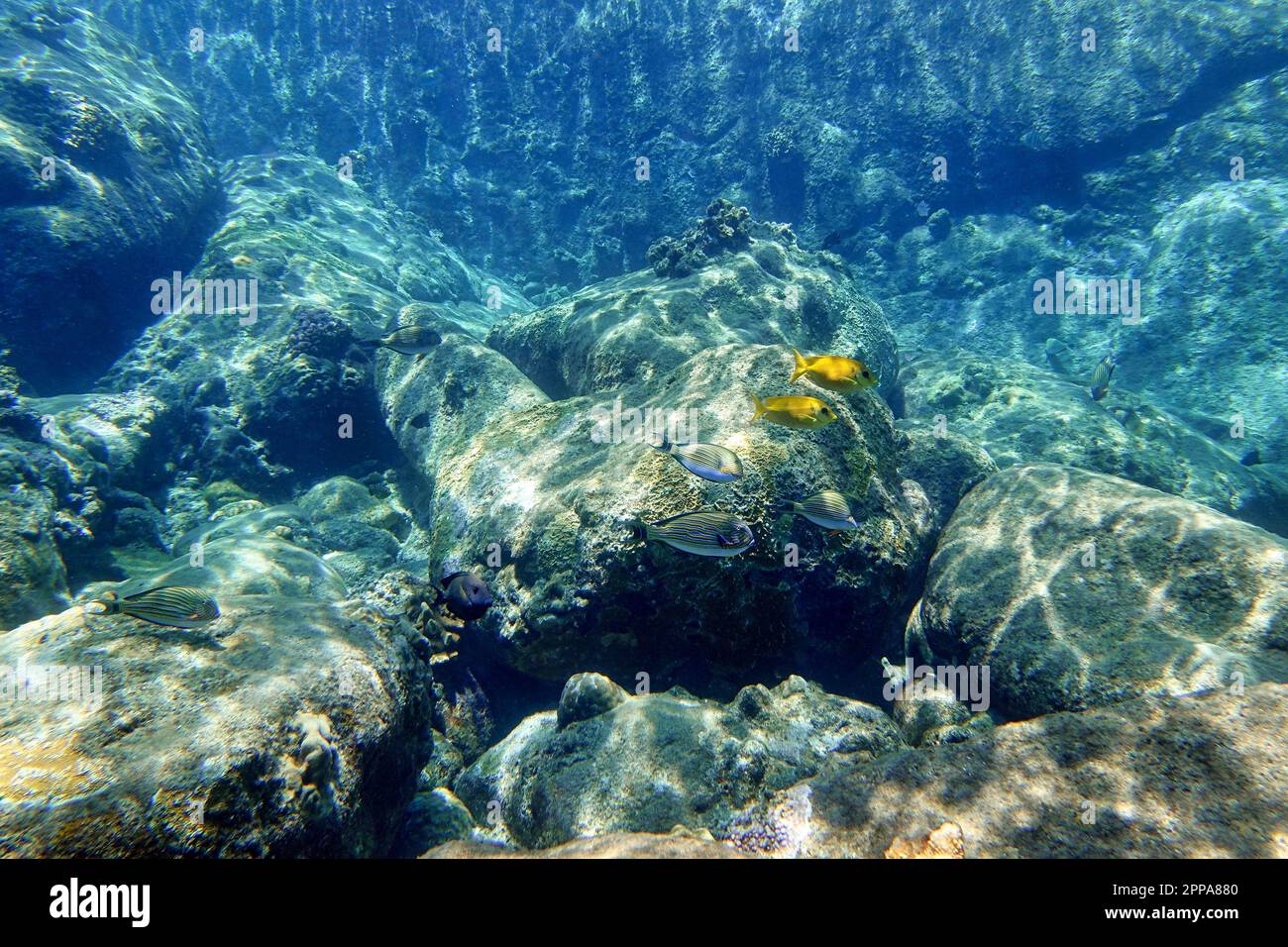 Anambas islands hi-res stock photography and images - Alamy