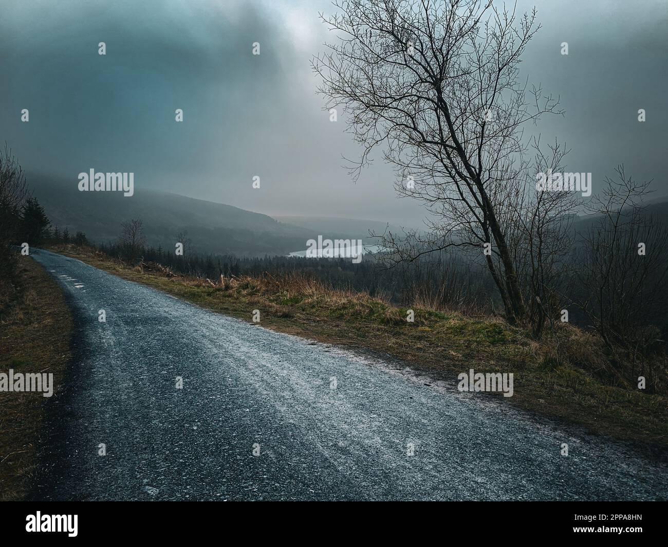 A scenic paved road winds through a lush green forest, descending a ...