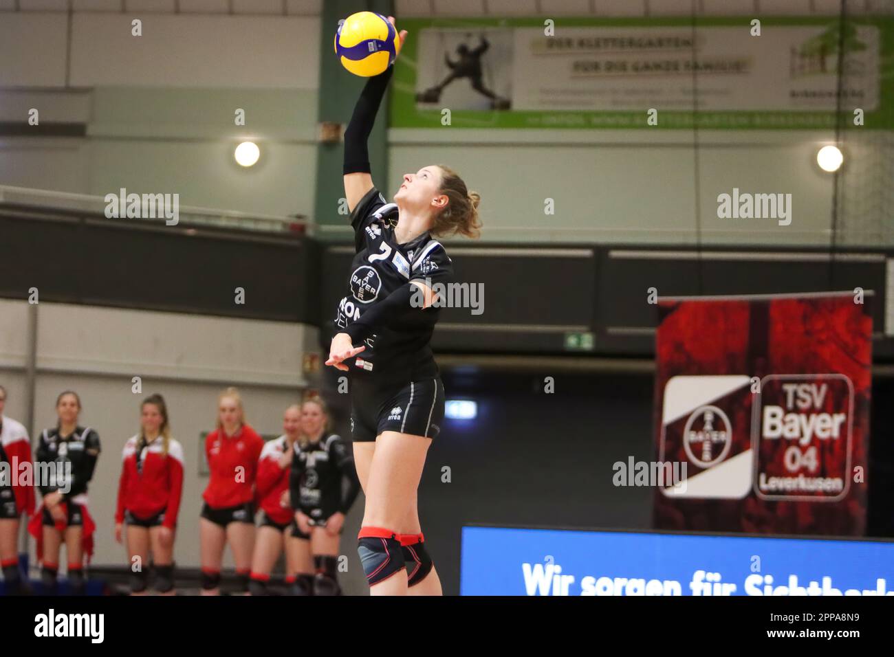 Bayer volleys hi-res stock photography and images - Alamy