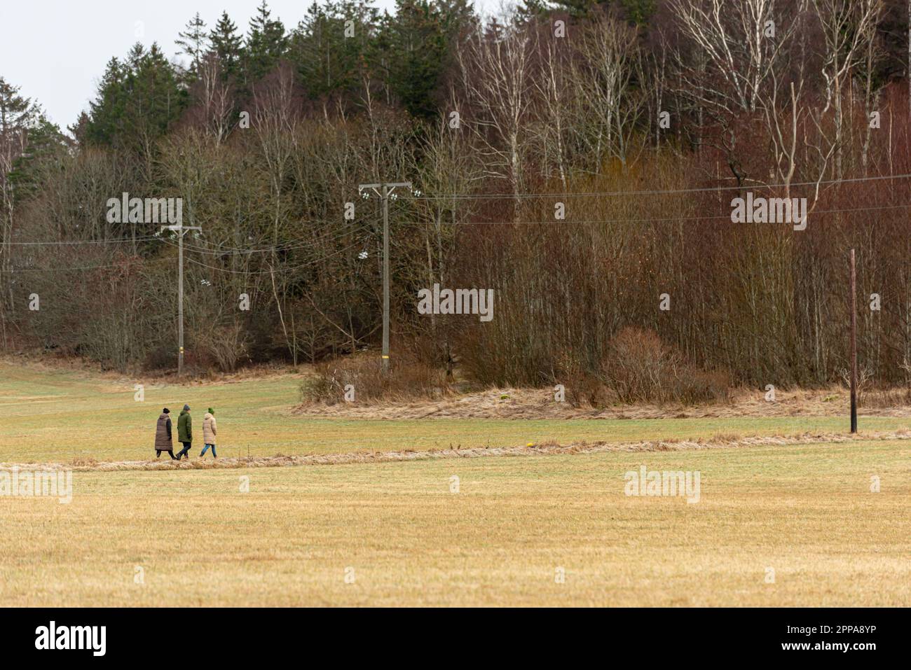 Small group of people walking across a field Stock Photo - Alamy