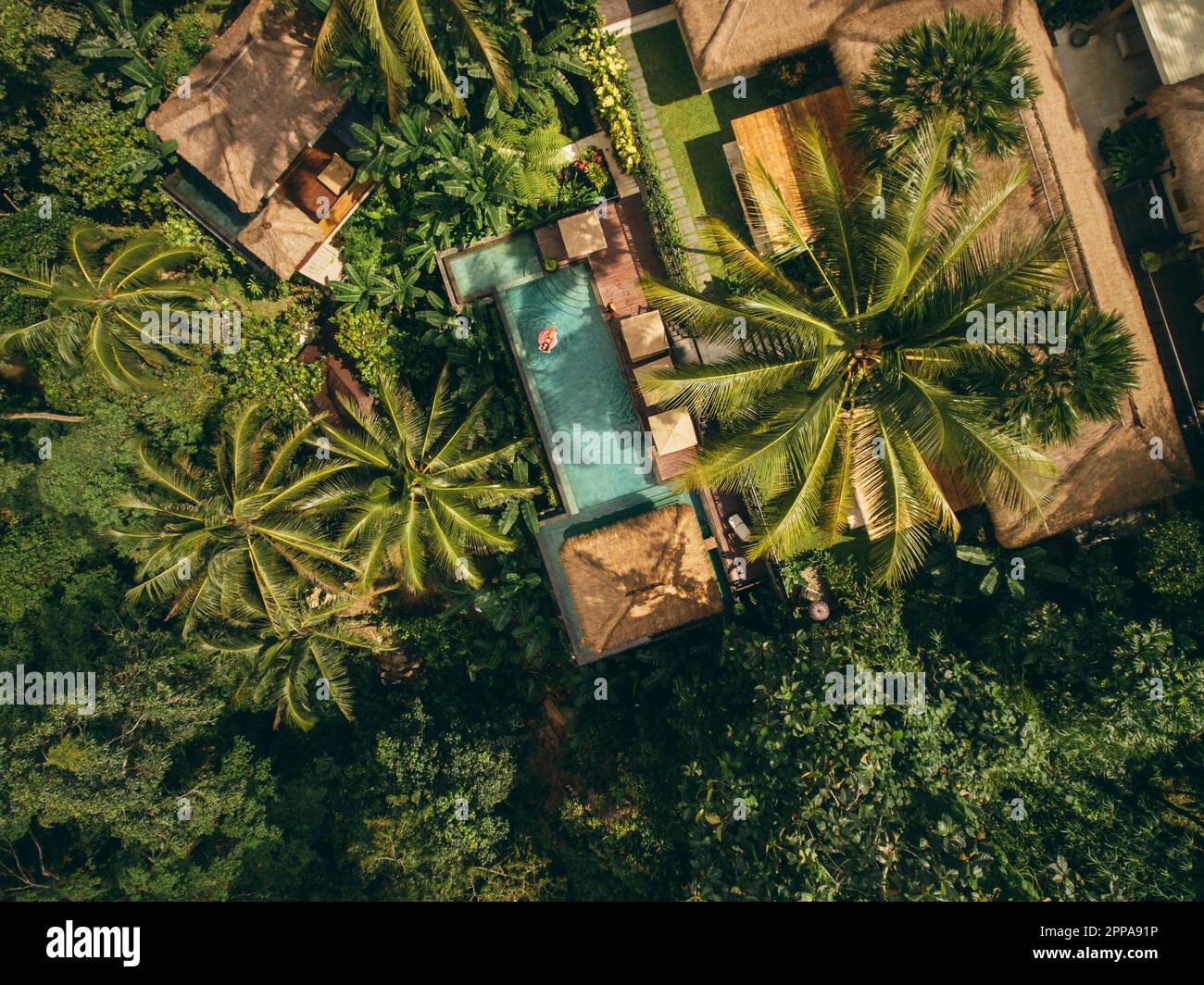 Aerial view of luxury resort in forest surrounded by trees. Hotel with ...