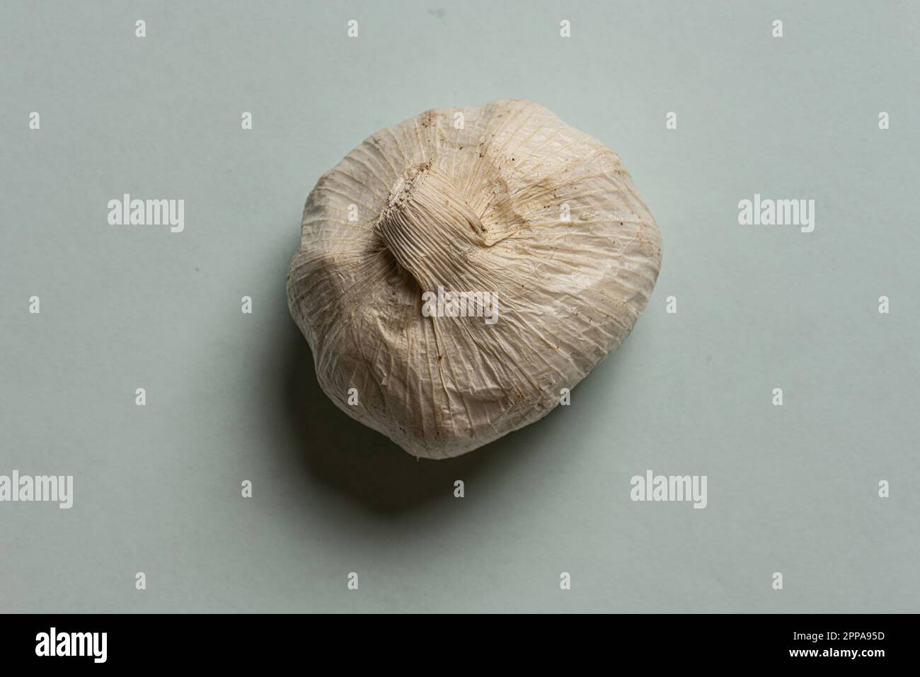 Garlic Allium sativum viewed from above Stock Photo - Alamy