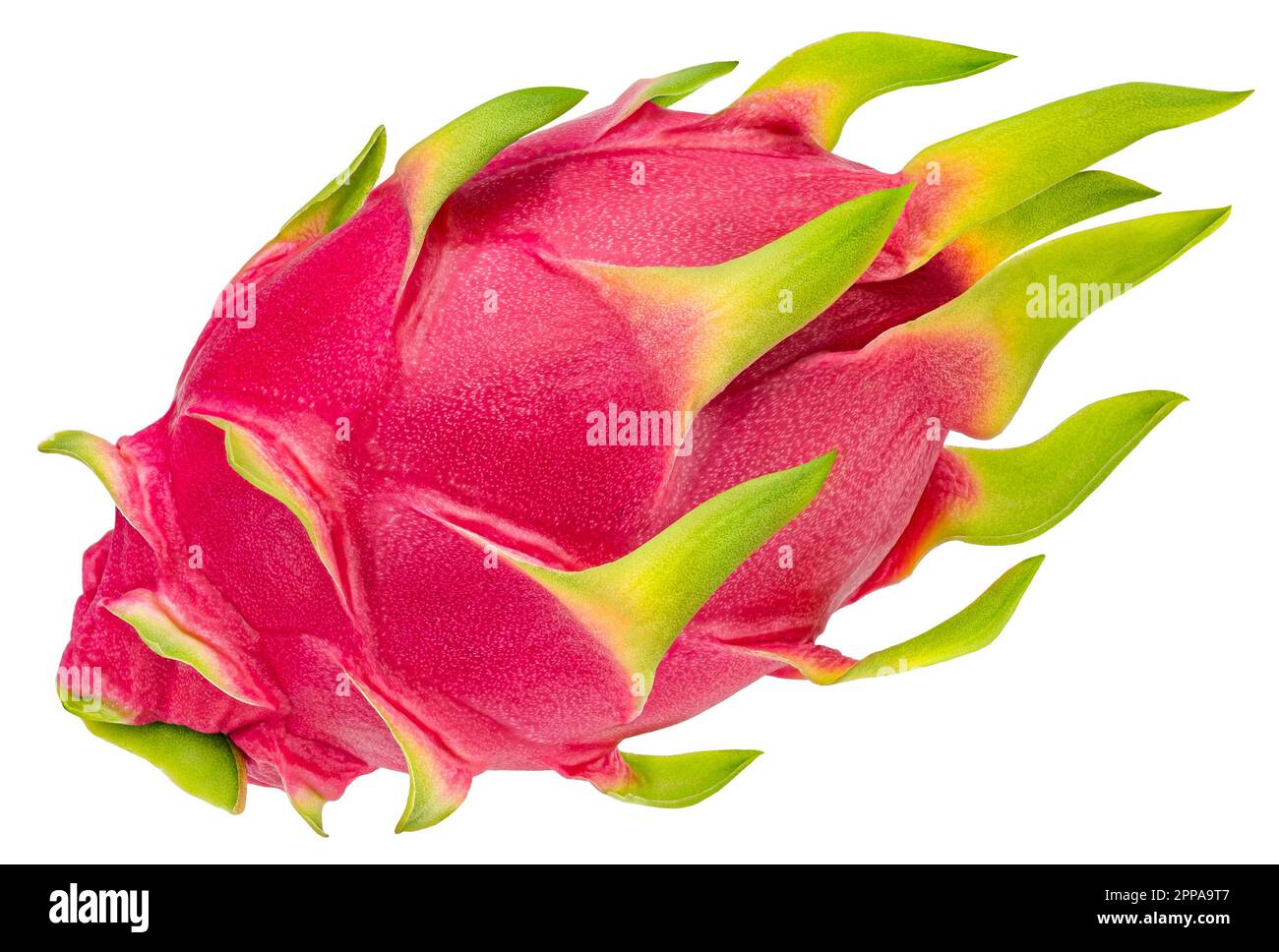 One whole dragon fruit isolated on white background, full depth of ...