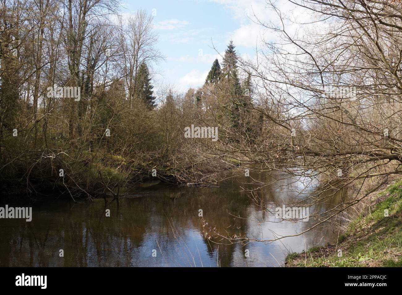Path along the Little Ouse River Santon Downham, Suffolk, England Stock ...