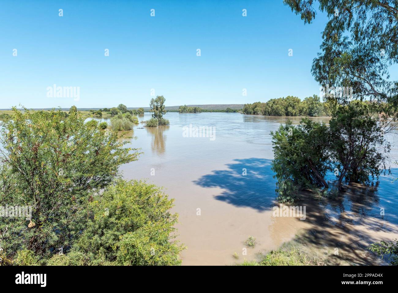 The flooded Orange river at Samevloeiing near Douglas where the Vaal ...