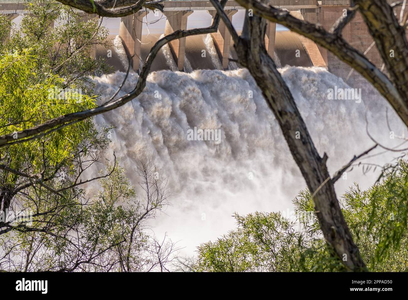 The overflowing Gariep Dam is visible between branches of a tree. The ...