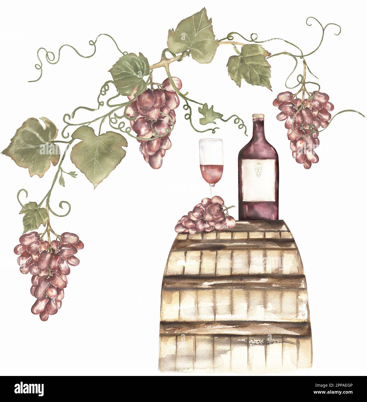 Watercolor hand drawn illustration composition with wooden barrel and glass with red wine and ...