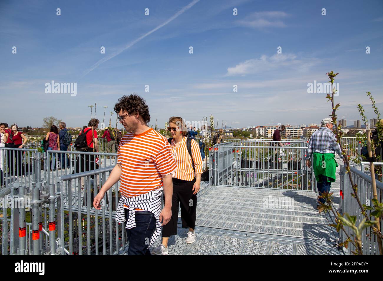 BUGA (Federal Horticultural Show) Mannheim 2023: Accessible scaffolding ...