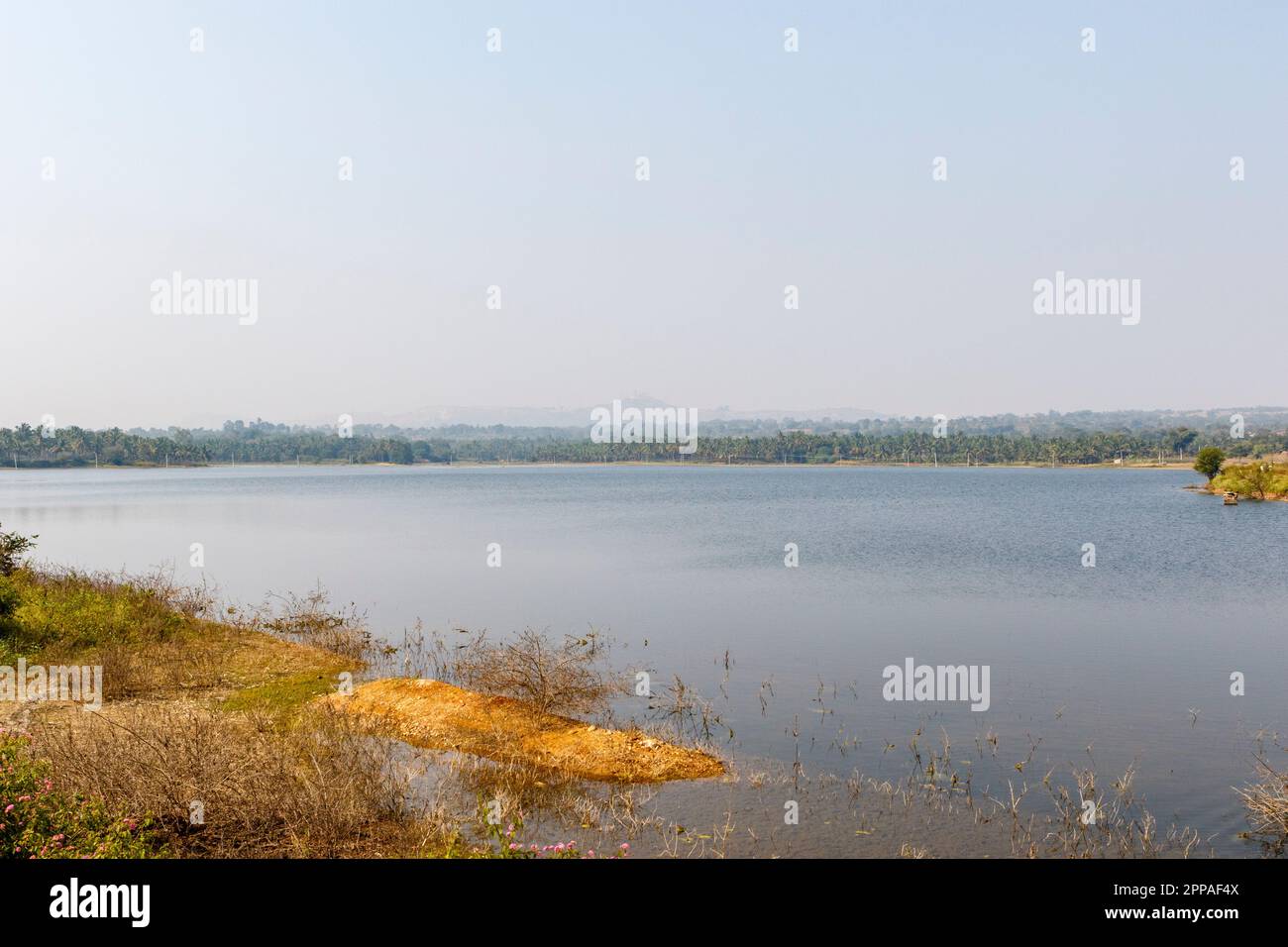 Lake surrounded by palm trees in Karnataka, India, Asia Stock Photo - Alamy