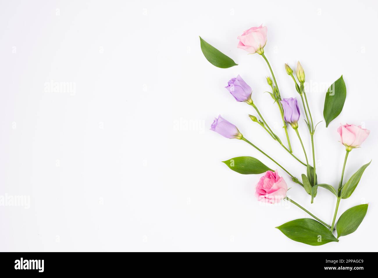 Pastel flower composition hi-res stock photography and images - Alamy