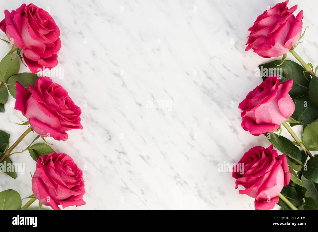 Beautiful pink roses marble background Stock Photo - Alamy