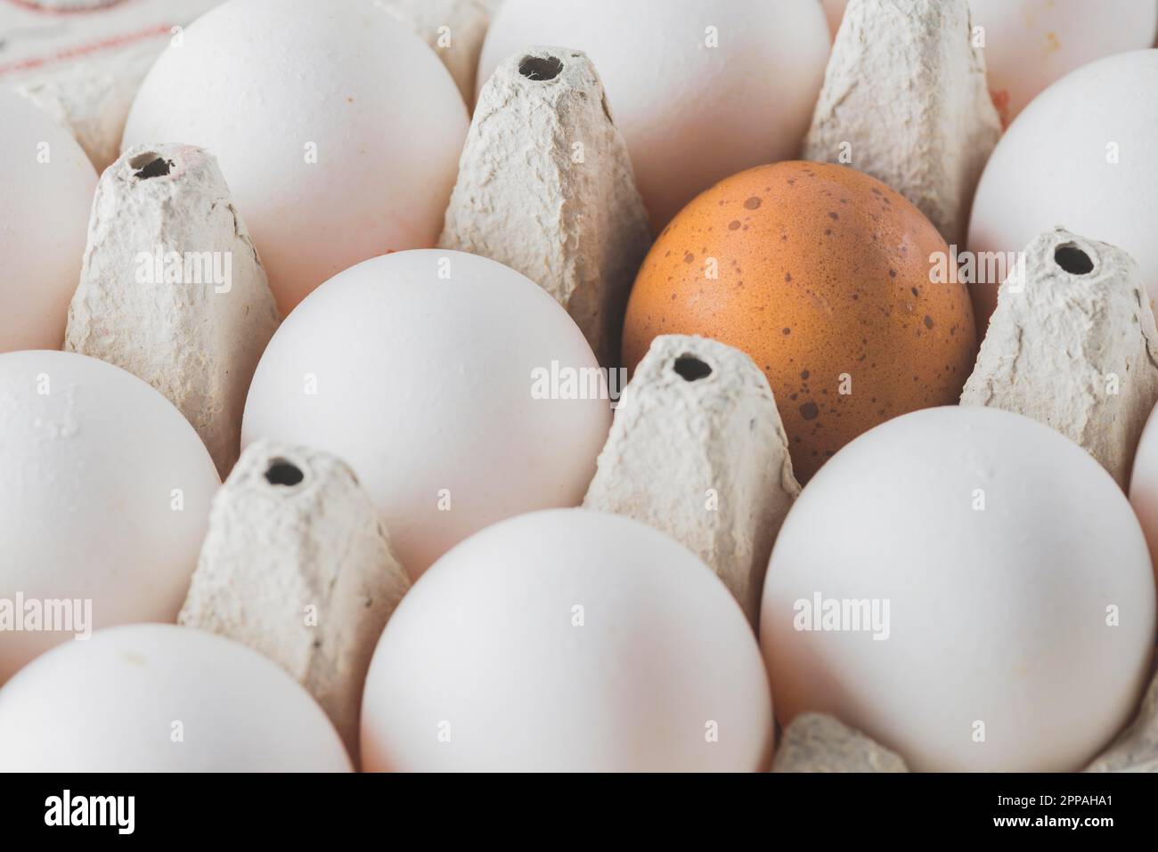 Brown white eggs rack Stock Photo - Alamy