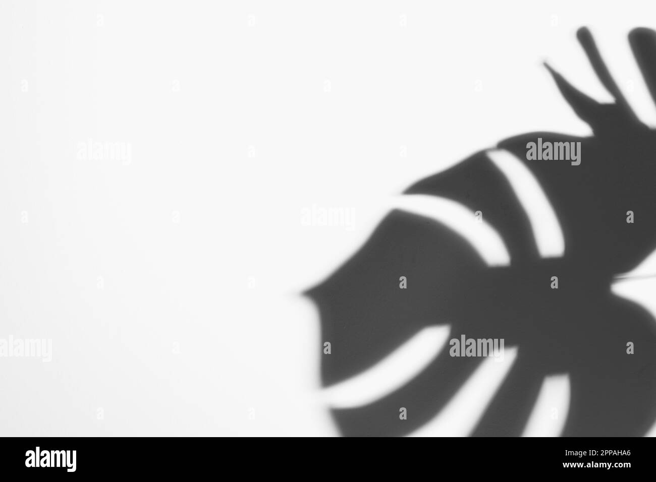 White background concept Black and White Stock Photos & Images - Alamy