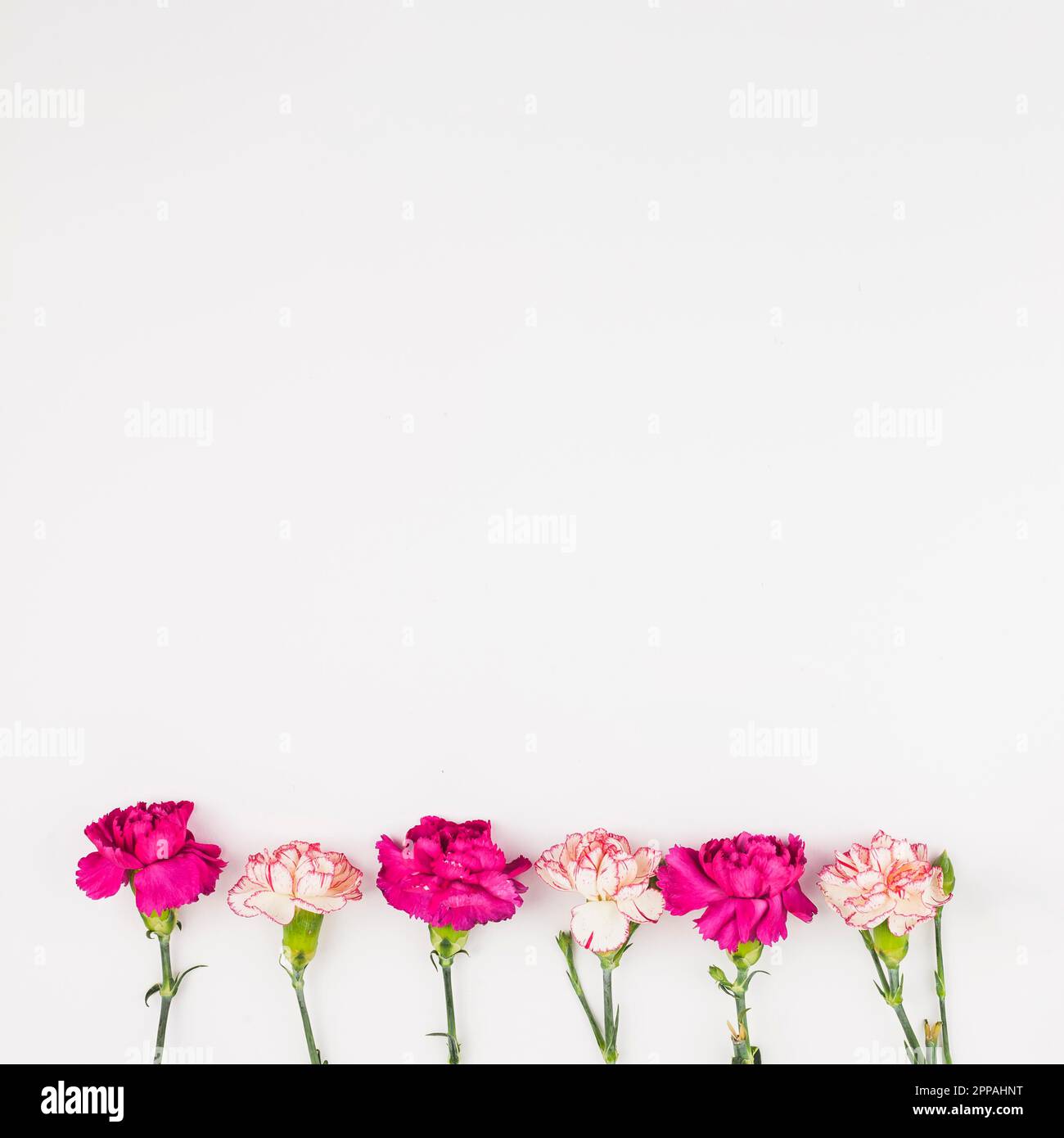 Pollen calendar hi-res stock photography and images - Alamy