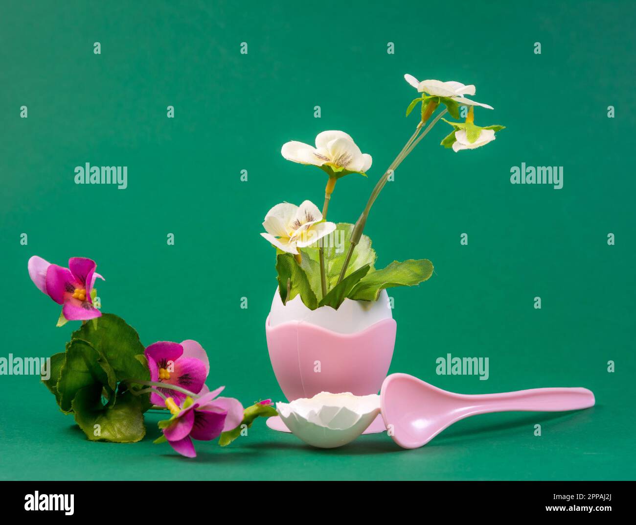 Spring still life with flower growing out of an eggshell Stock Photo ...