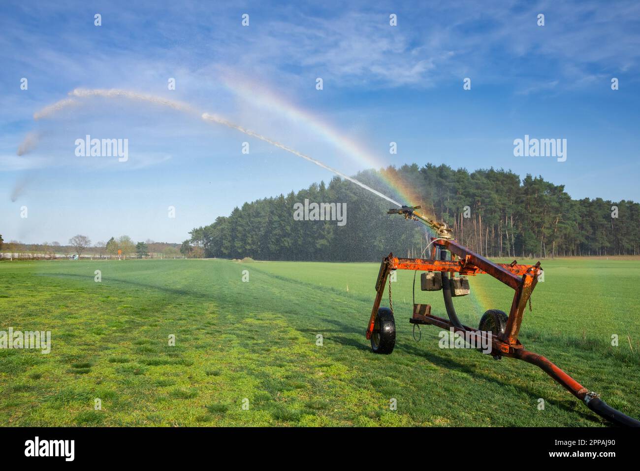 Watering a field with a sprinkler system Stock Photo - Alamy