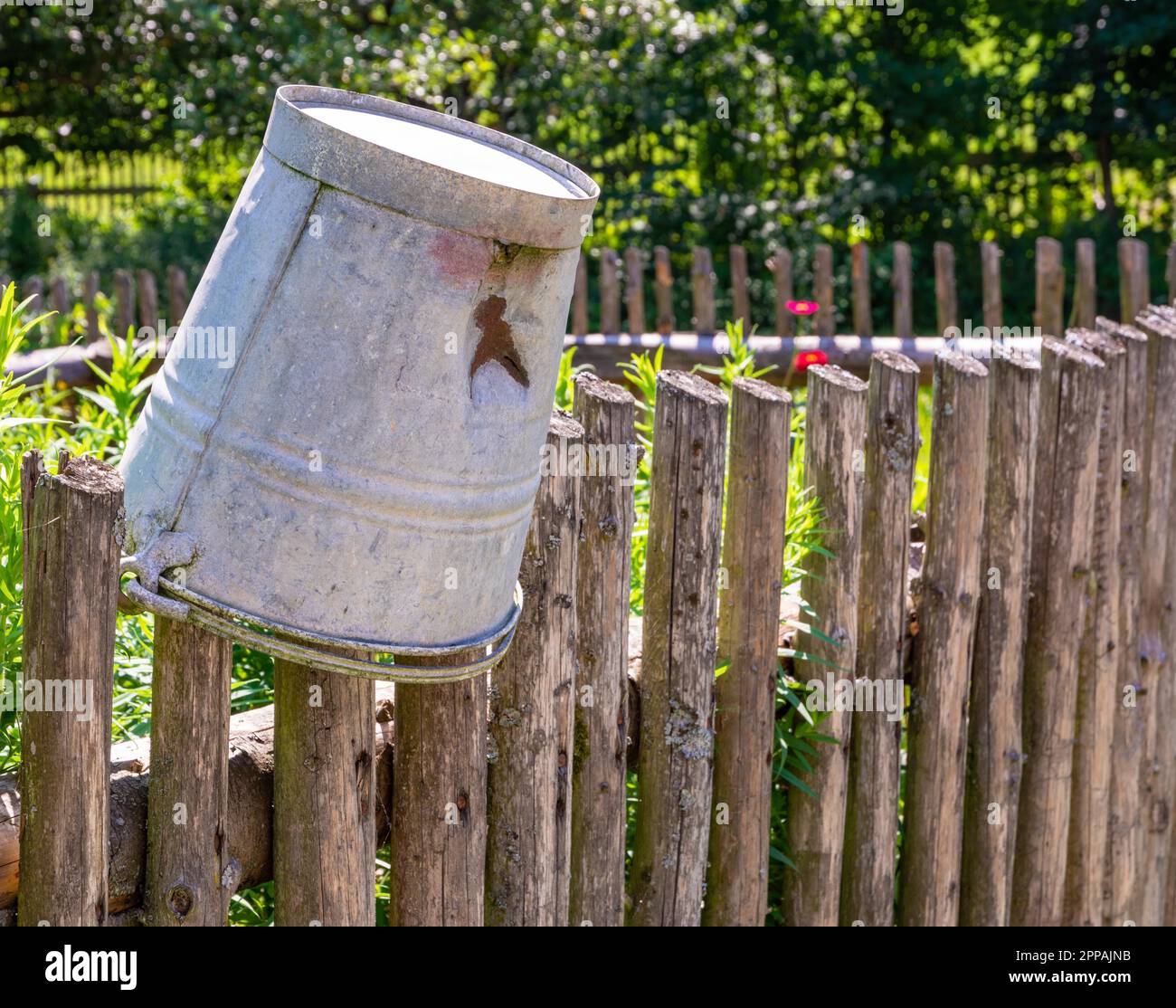 Vintage tin bucket on the wooden fence of a vegetable garden Stock ...