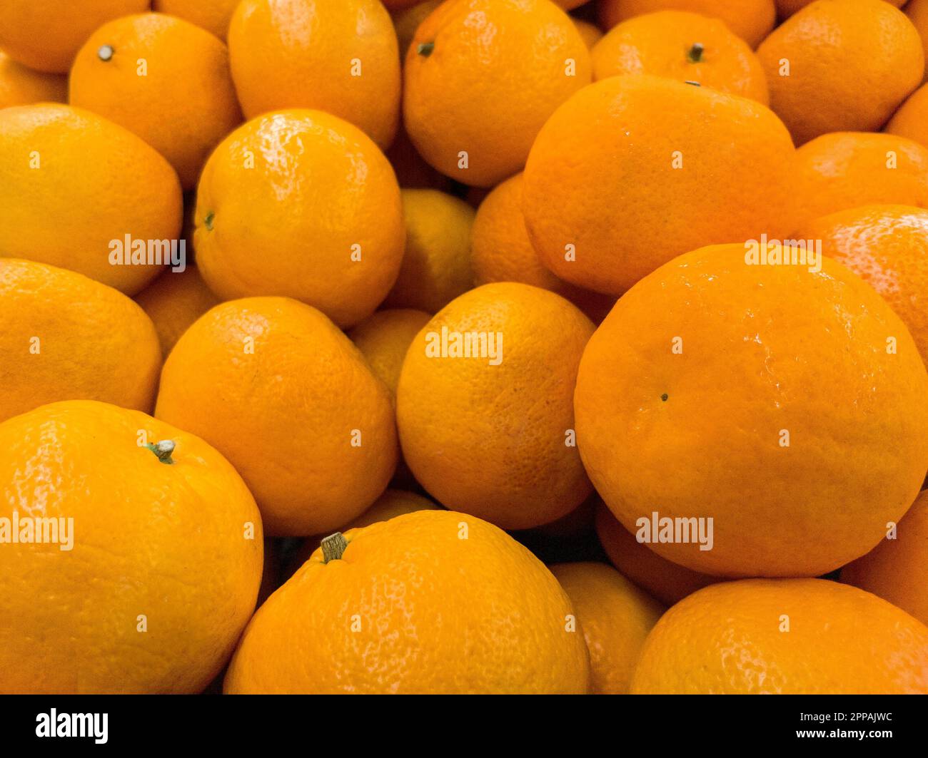 Fruits geometry hi-res stock photography and images - Alamy