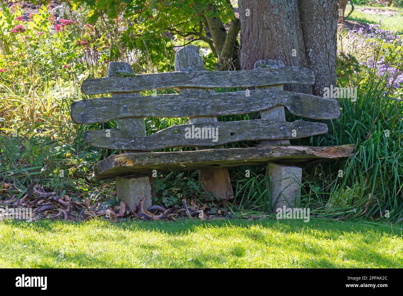 Old weathered wooden park bench in the garden Stock Photo - Alamy