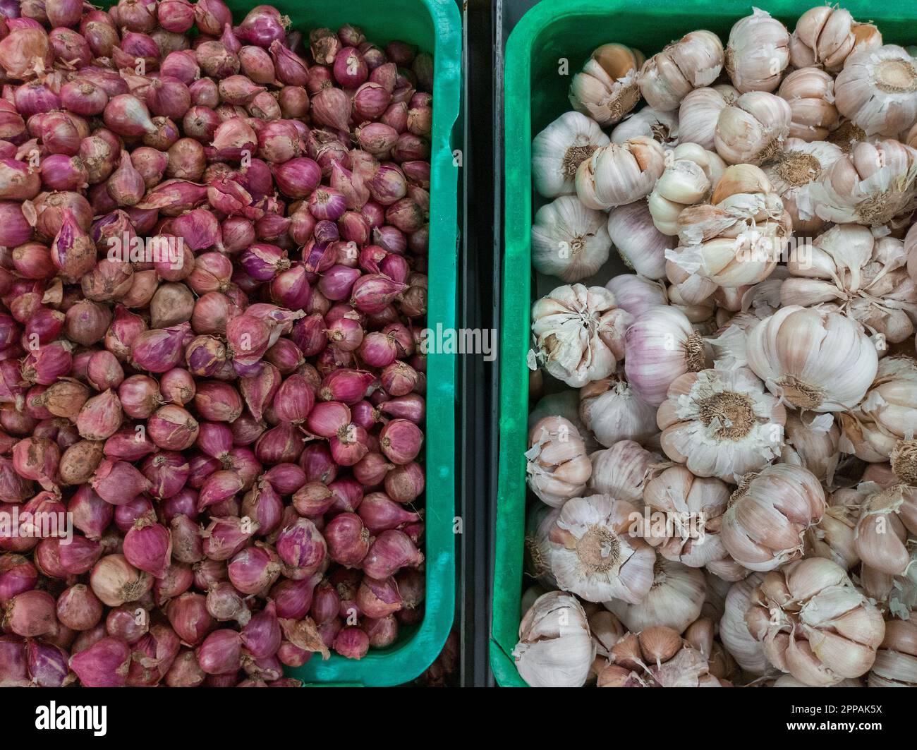 Red onion (Allium cepa) and white onion (Allium sativum) are health ...