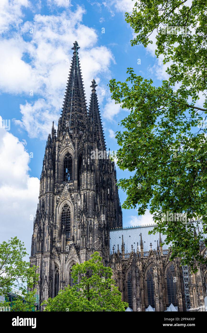 Towers of the famous Cologne Cathedral Stock Photo - Alamy