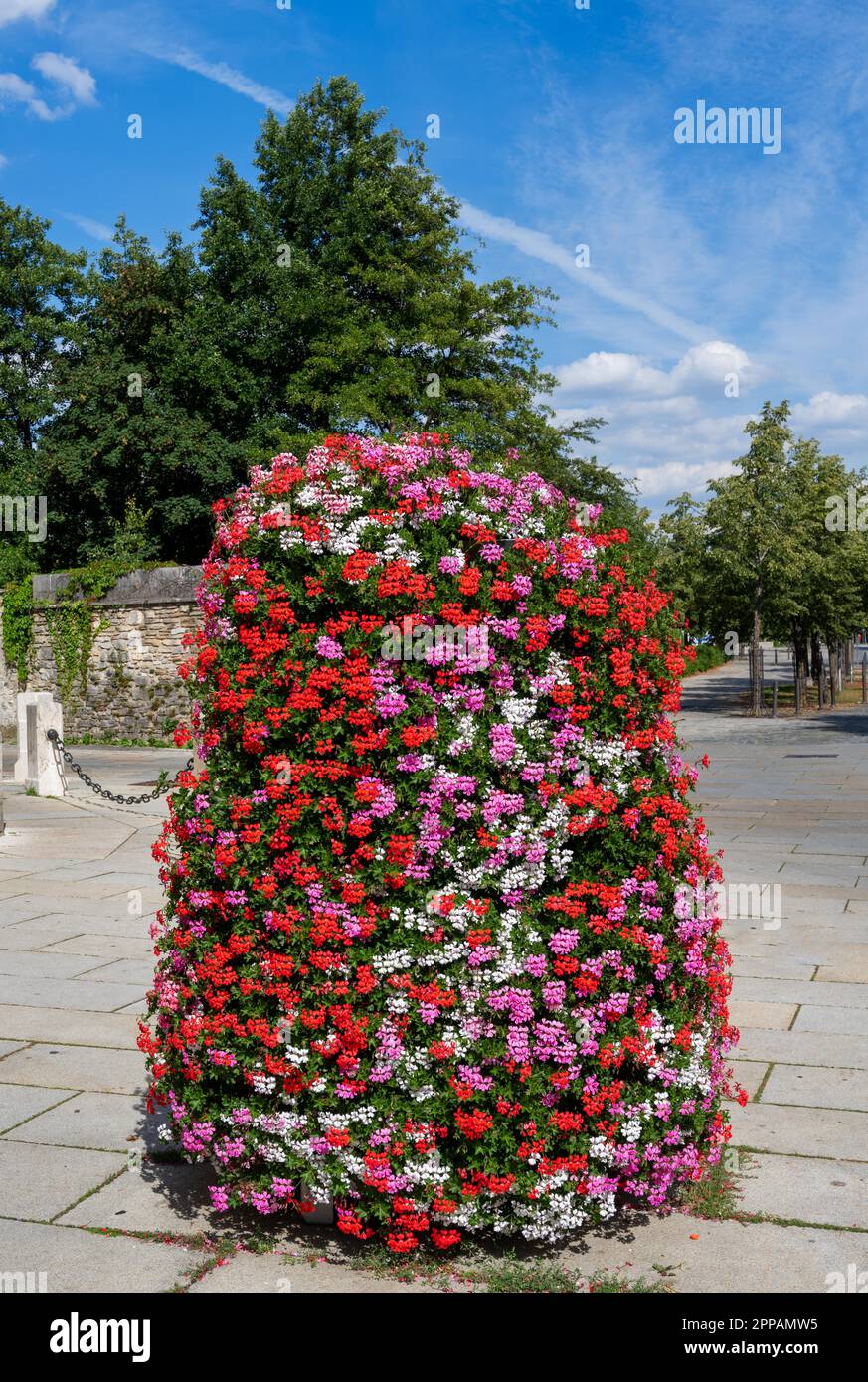 Potted plant column hi-res stock photography and images - Alamy