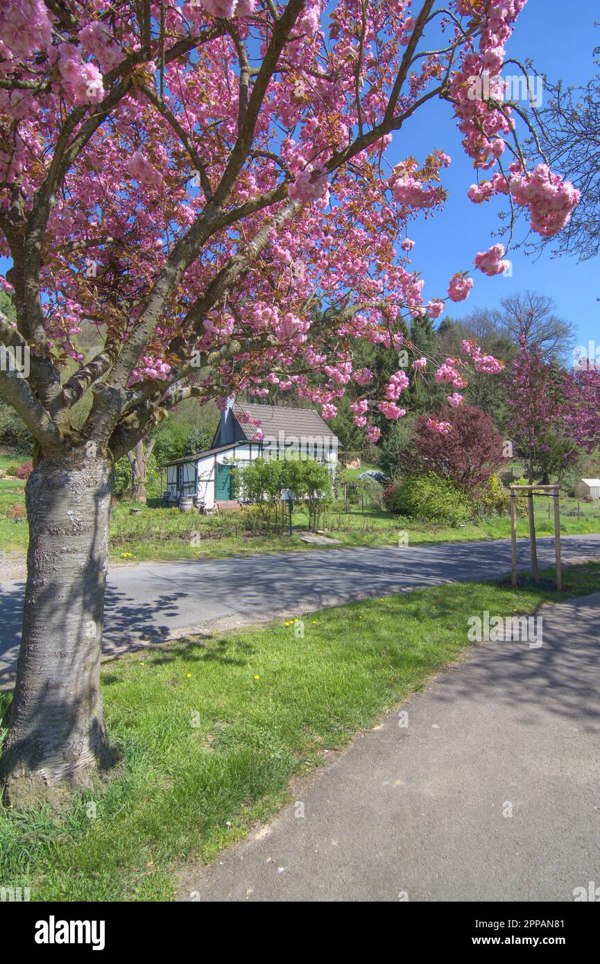 Solingen untenrueden hi-res stock photography and images - Alamy