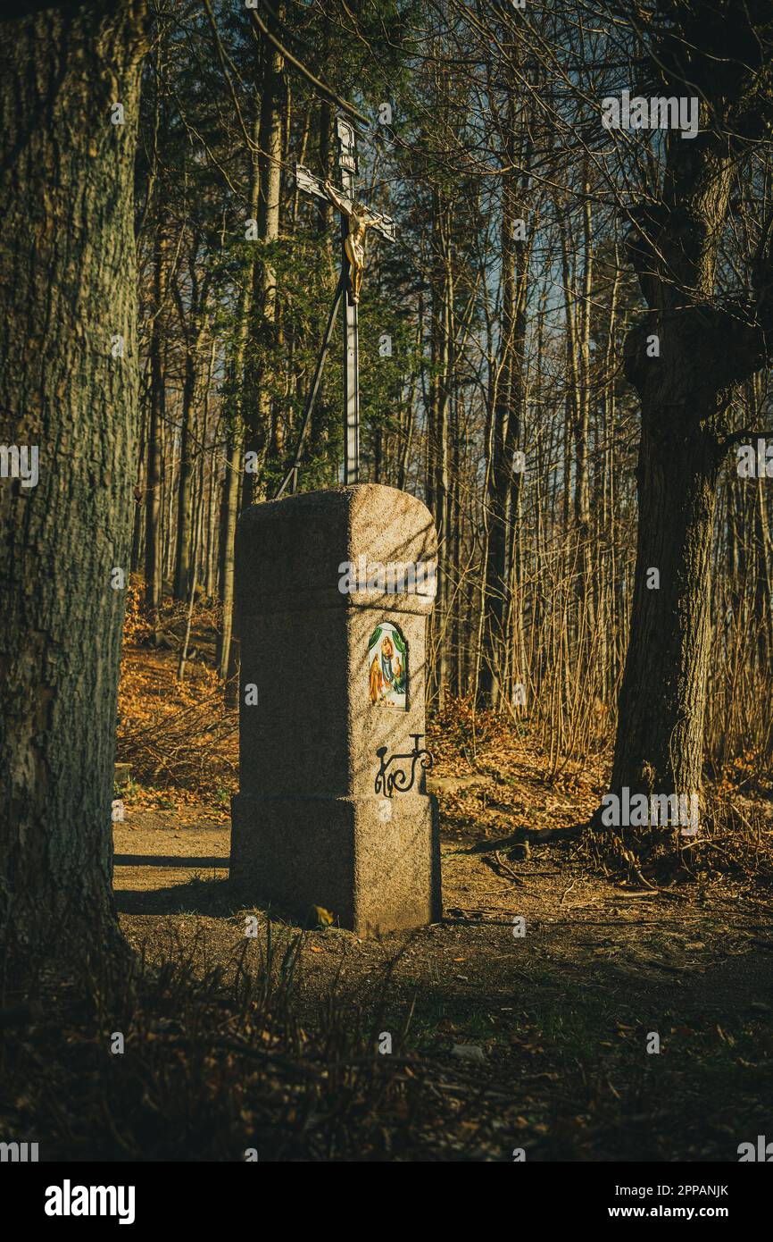 The restored cross in the Oldrichovske sedlo (Hemmrich saddle) has ...