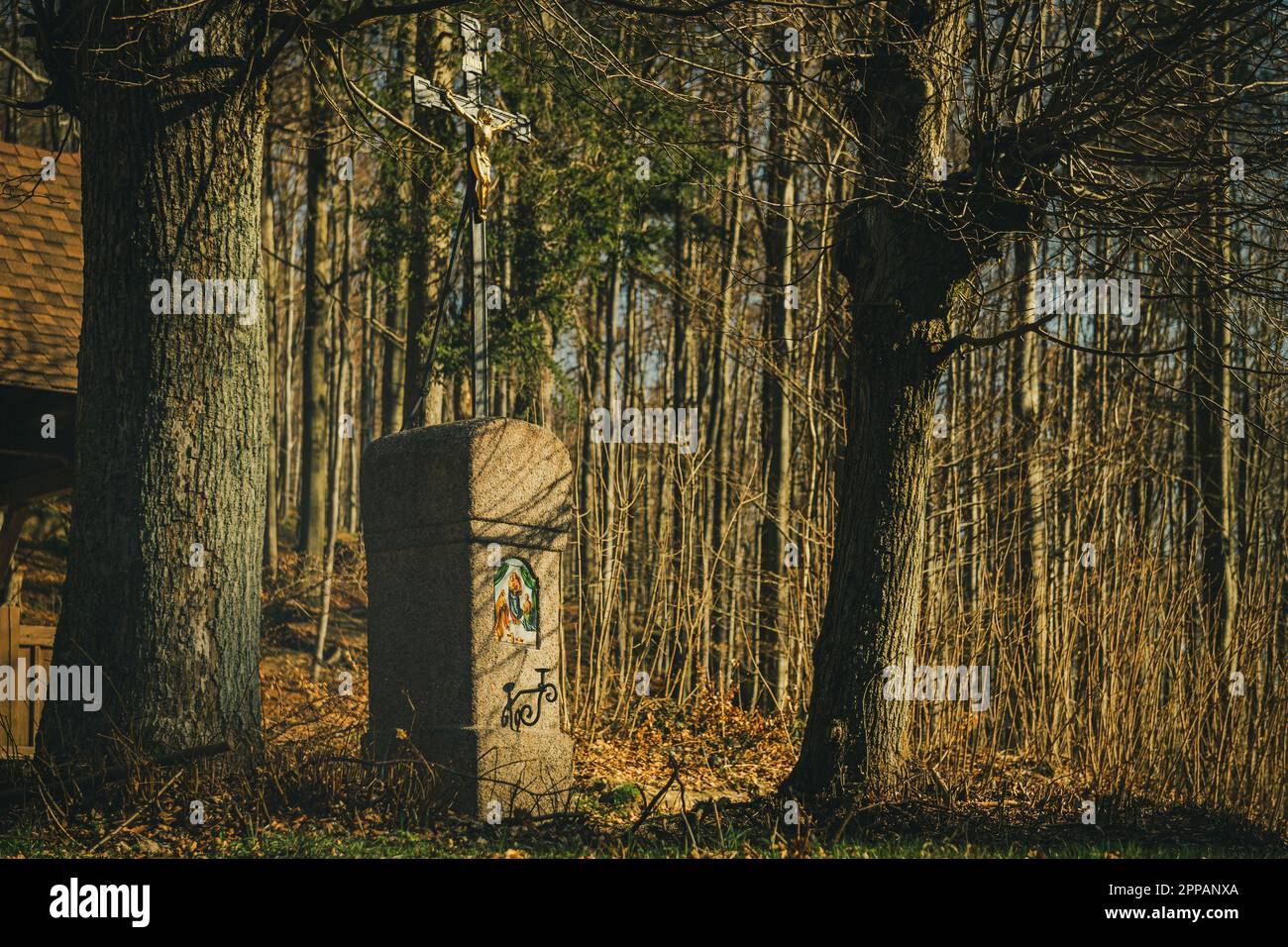 The restored cross in the Oldrichovske sedlo (Hemmrich saddle) has ...