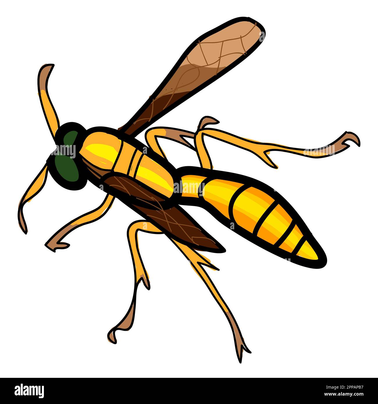 Doodle Cartoon of Wasp in Circle Frame for Nature Themed Designs ...