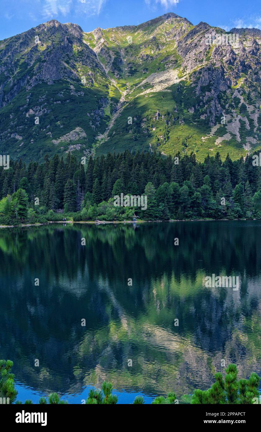 Beautiful summer landscape of High Tatras, Slovakia - Poprad lake, lush ...