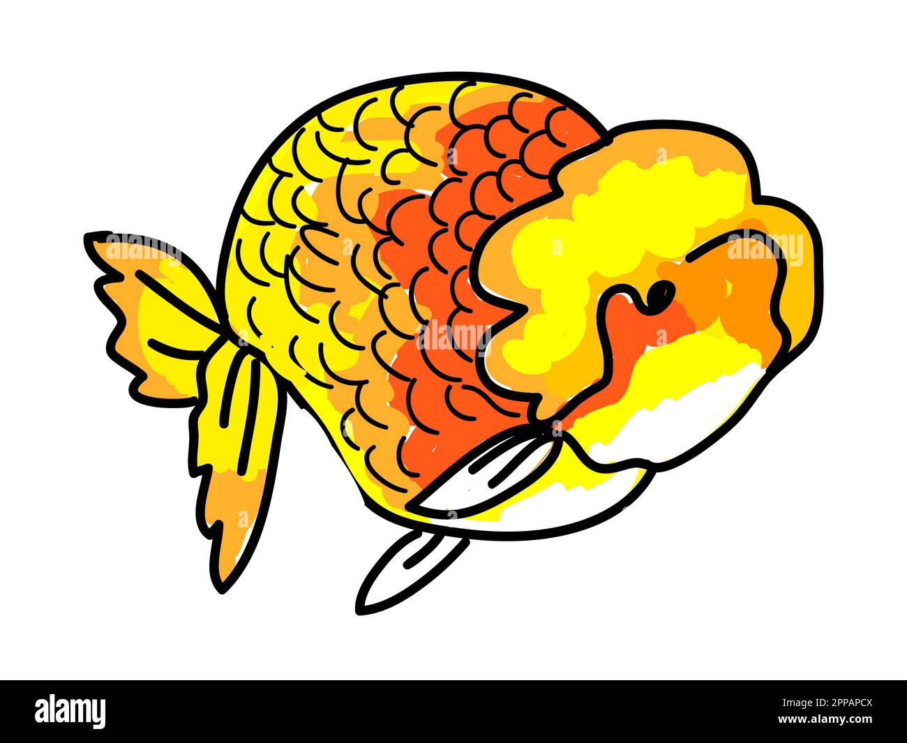 Doodle Cartoon of Goldfish in Circle Frame, Featuring A Happy Goldfish ...