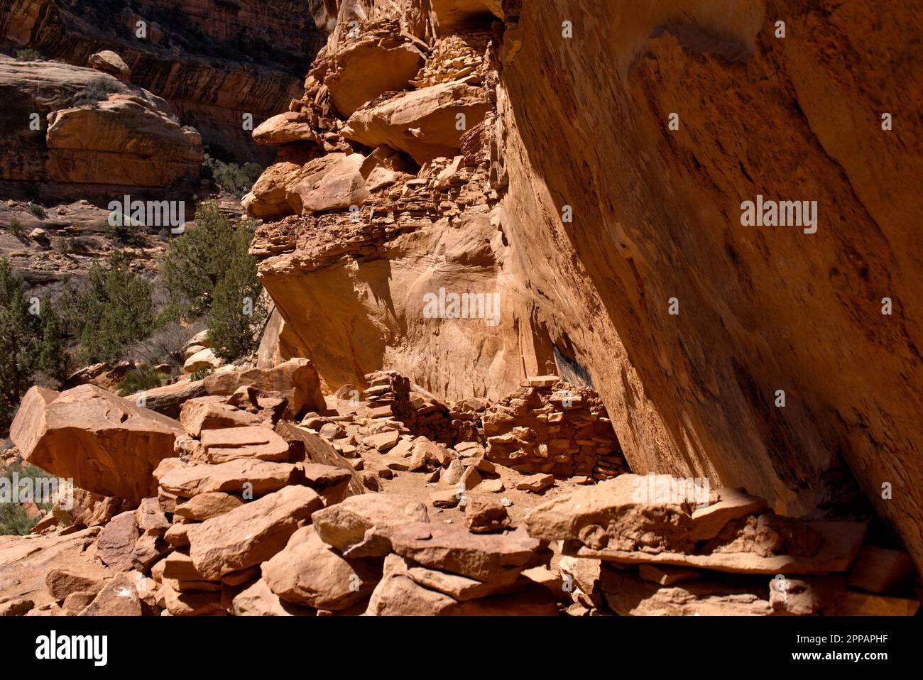 Pictographs behind a ruin at the Green Mask Site in Sheik's Canyon ...