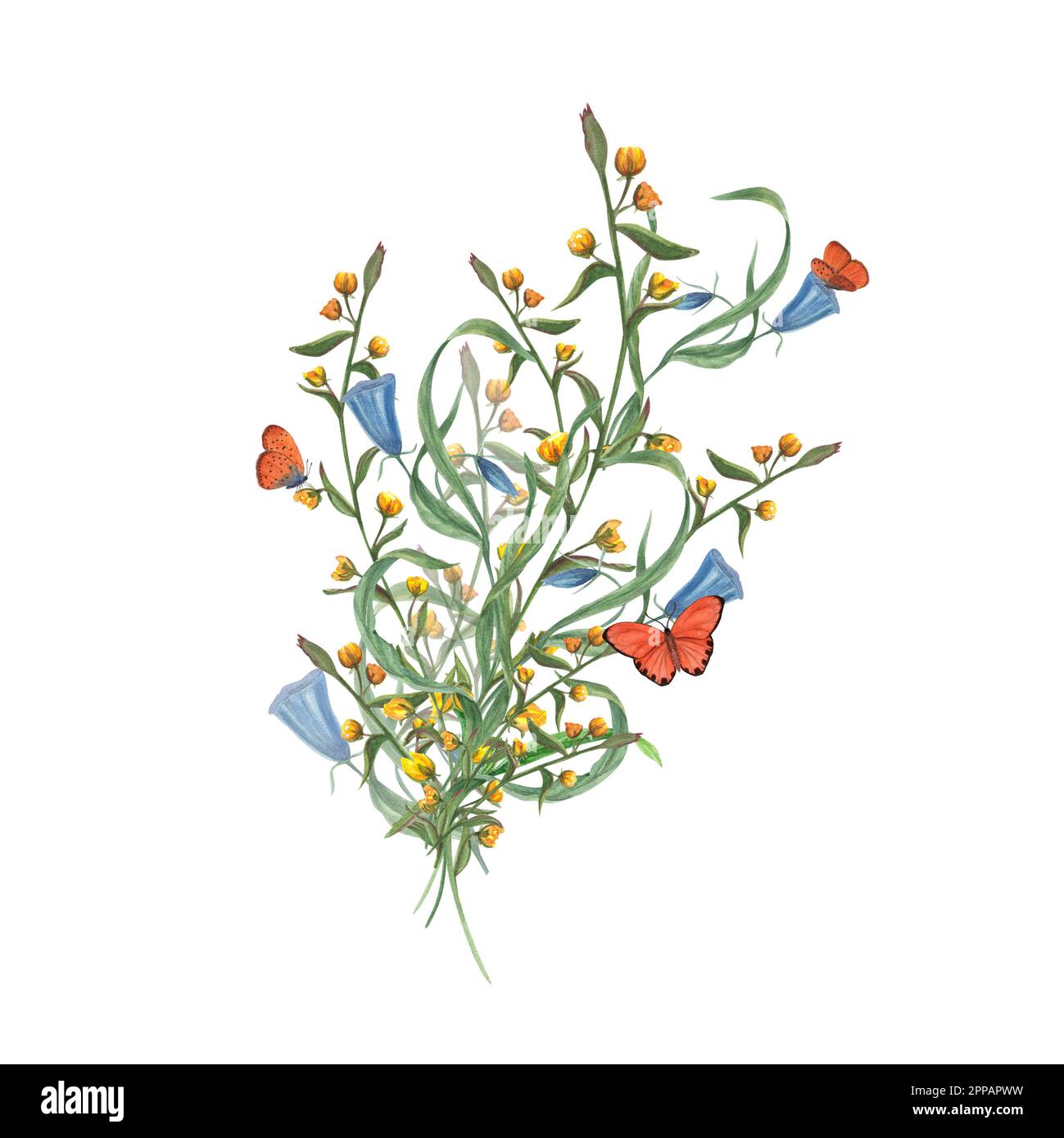 Bouquet of wild flowers and fluttering butterflies isolated on white ...